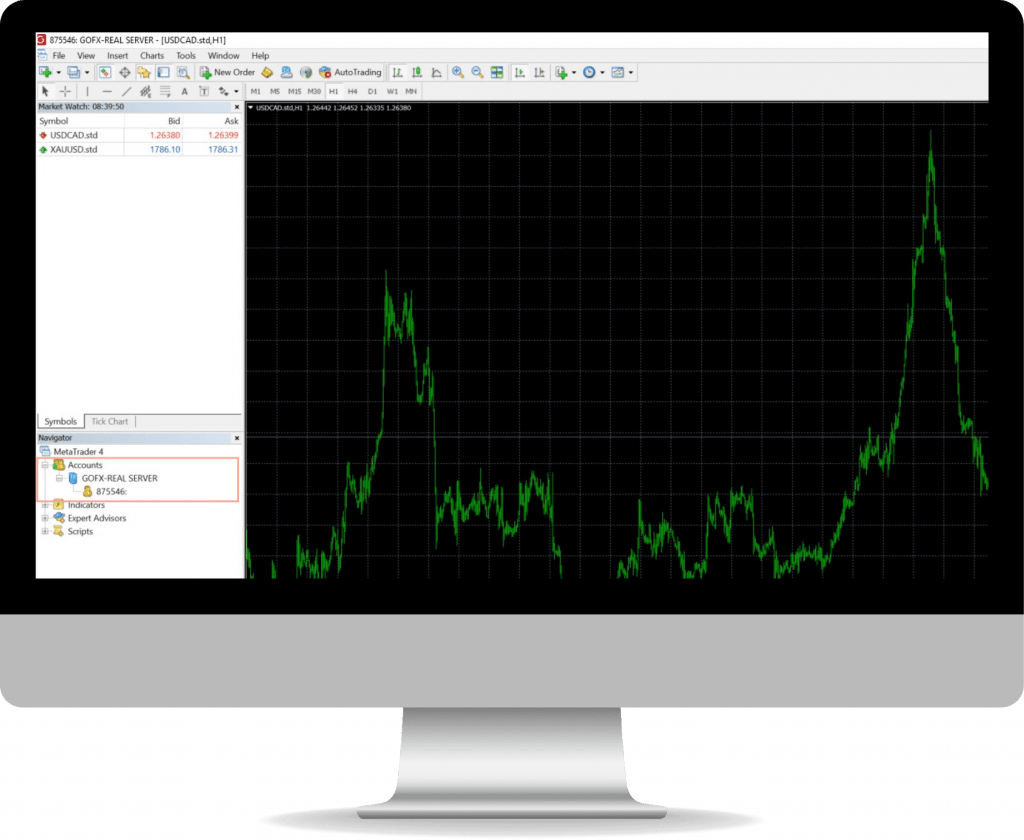 How to start trading at the first time?